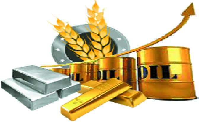 MCX launches new index series on commodity futures - The Hitavada
