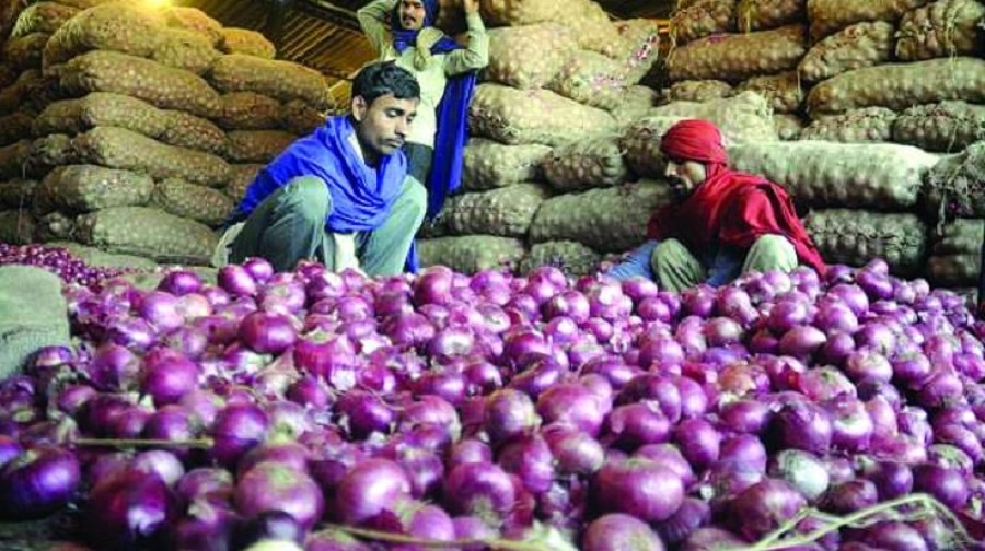 Govt reduces onion stock holding limit - The Hitavada