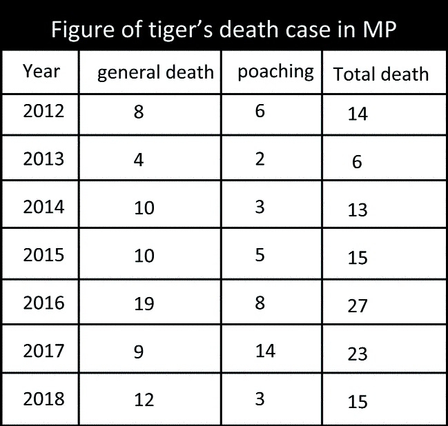 MP has highest mortality rate of tigers - The Hitavada
