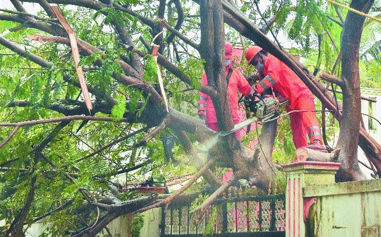 Three killed, over 1,000 trees uprooted in TN as Nivar makes landfall ...