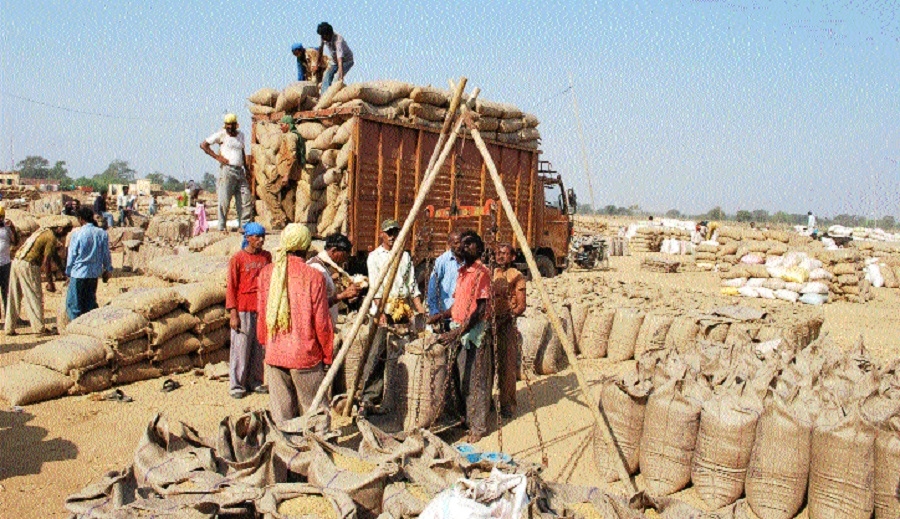 New record of paddy purchase made in C’garh - The Hitavada