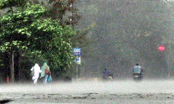 Sudden rainfall turns weather pleasant across State - The Hitavada