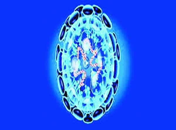 ELISA COVID-19 test kits can determine infection exposure among public ...