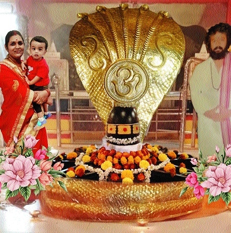 ‘Ashtapindi’ Shivlinga emits sacred waves on Mahashivratri - The Hitavada