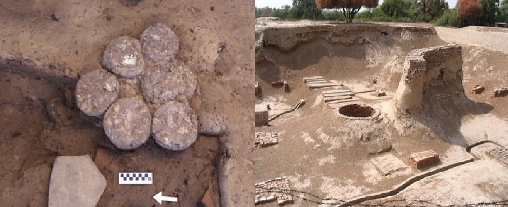 Harappan people ate high protein laddoos: Study - The Hitavada