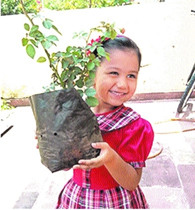 Green Ambassadors plant saplings to observe Van Mahotsav Week - The ...