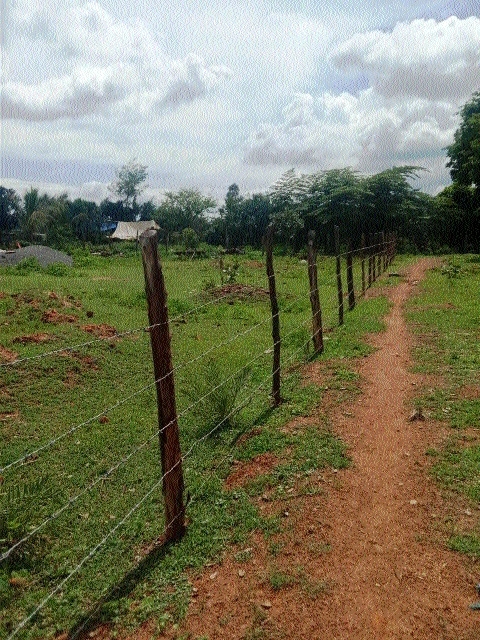 Villagers united to protect land from encroachment - The Hitavada