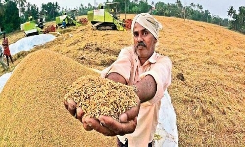 CG Cabinet meet on Oct 17; likely to give nod to paddy procurement - The Hitavada