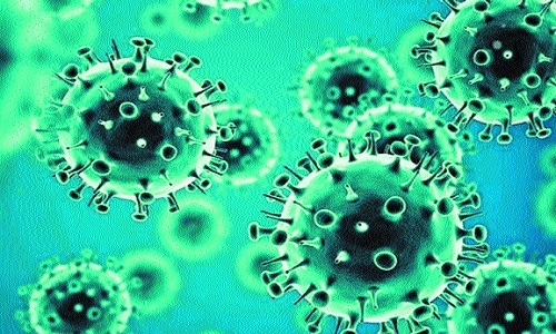 COVID has reached its endemic phase: Experts - The Hitavada