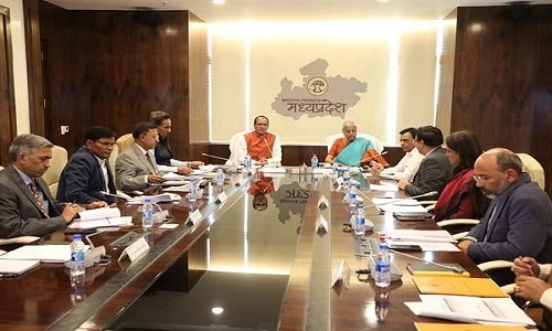 Efforts in MP for financial, public asset mgmt commendable: FM - The ...