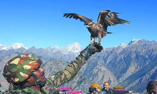 Indian Army troops train kites to destroy enemy drones - The Hitavada