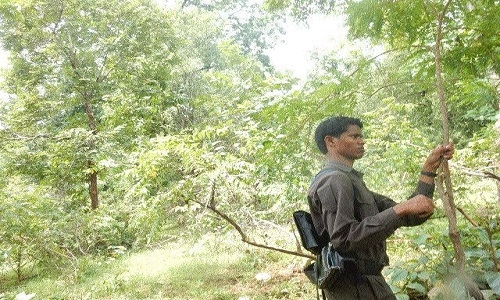 Hardcore Naxal gunned down in Balaghat - The Hitavada