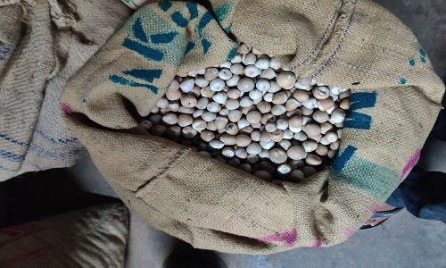 ED raids on 18 places in city; Smuggled areca nut stocks seized - The ...