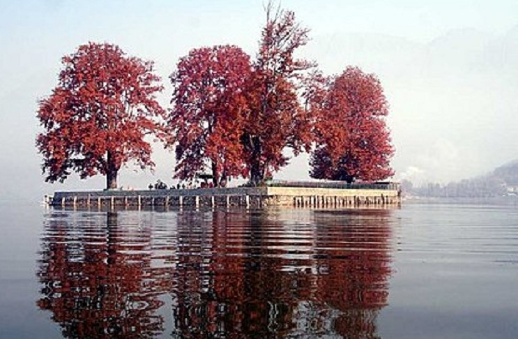 Dal lake’s ‘Char Chinar’ island gets its glory back - The Hitavada