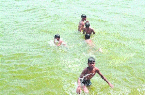 Pre-monsoon activities yet to begin in MP - The Hitavada