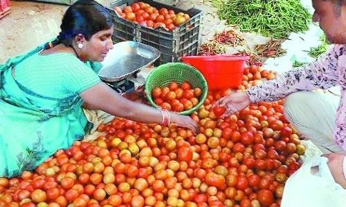 Retail price of tomatoes touches Rs 80 per kg mark - The Hitavada