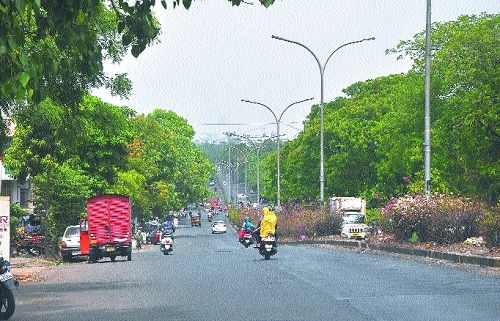 PWD to do compensatory plantation, but passing buck to citizens: Greens ...