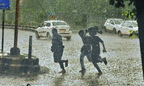 Rainfall deficit still prevails across Vid - The Hitavada