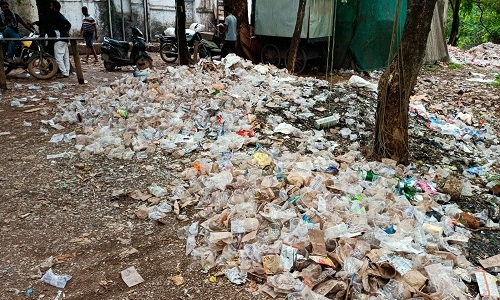BMC fails to curb polythene, plastic menace - The Hitavada