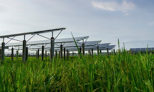 MPTransco’s Green Energy Corridor complete - The Hitavada