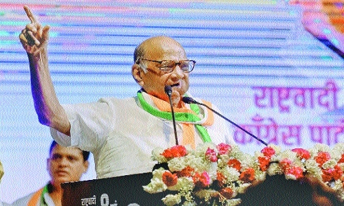 Will never surrender before rulers in Delhi, says Pawar - The Hitavada