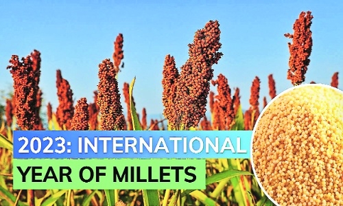 Govt lines up millet-centric activities as international year of ...