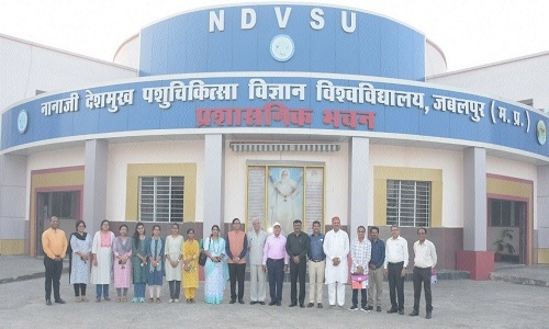 Faculty, students of NDVSU to visit Russian University under Intl ...