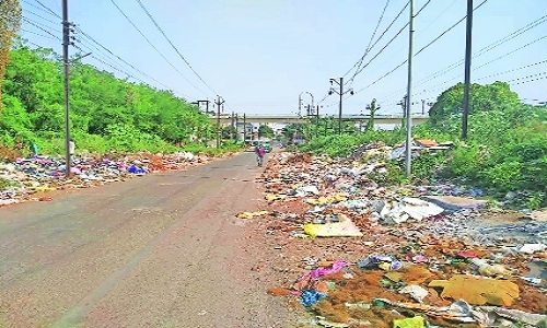 Authorities fail to maintain cleanliness in and around MIDC Hingna area ...