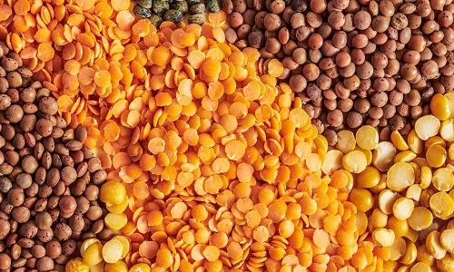 Government extends zero import duty andagri-cess exemption on masur ...