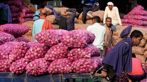 Onion export Banned till March next year - The Hitavada