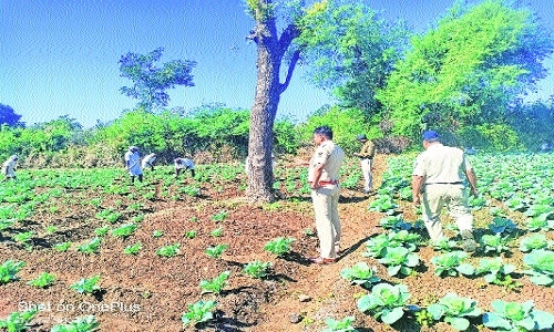 Capacity of open prisons in state to be increased by 20% - The Hitavada