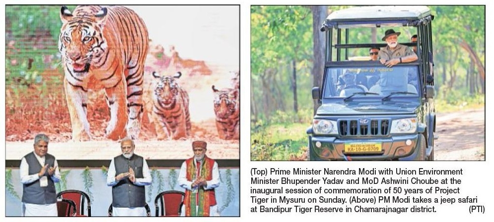 India has 3,167 tigers, PM releases census - The Hitavada