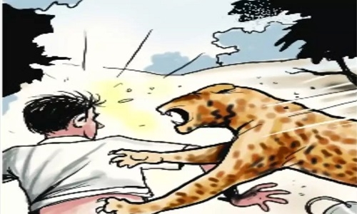 State Govt paid Rs 377.56 crore in damages for man-animal conflict ...