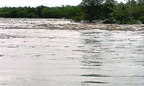 Rivers, drains in spate in Seoni due to incessant rains - The Hitavada