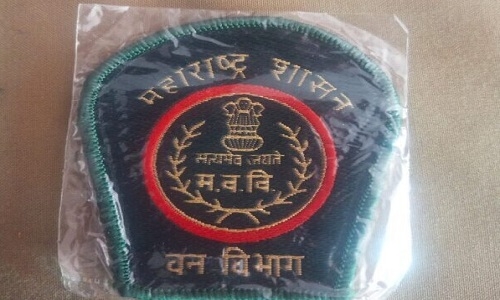 Forest Deptt to recruit 2,138 Forest Guards soon - The Hitavada