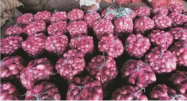 Govt to procure 2 lakh tonnes of onions for buffer stock - The Hitavada
