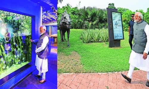 India Will Soon Emerge As Global Economic Powerhouse Pm The Hitavada