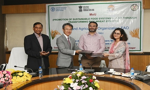 United Nations, Agri Deptt ink MoU to boost productivity of rice, wheat ...