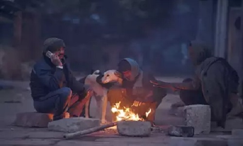 No respite from cold - The Hitavada