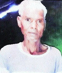 Tiger claims another life in Pench Reserve - The Hitavada