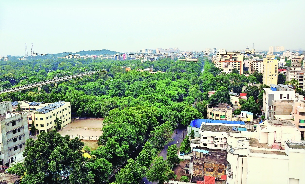 Tree Census: Tree count of only 5 zones complete even after deadline ...