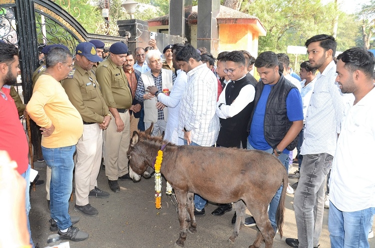 NSUI members bring along a donkey while protesting against RDU V-C’s ...