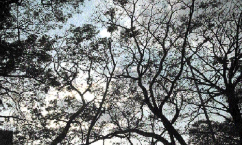 Orange, Yellow alert for 31 districts; strong rainfall system today ...