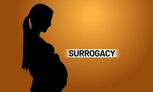 Nod to first surrogacy case in district - The Hitavada