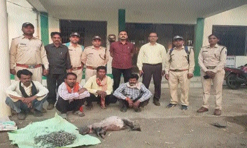 Forest Deptt team nabs 4 accused for hunting wild animal Sehi in Seoni ...