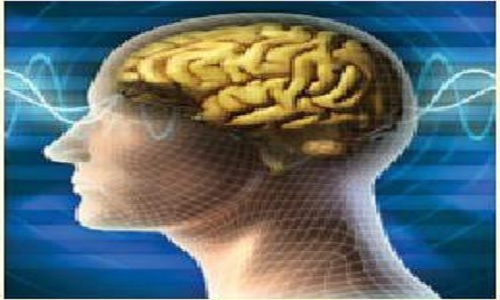 When Rational Brain Shuts Down - The Hitavada