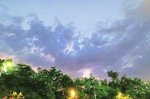 Monsoon in Vid Arrives four days early - The Hitavada