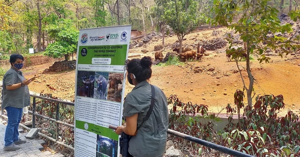 India’s zoo breeding programmes face poor management, funding ...