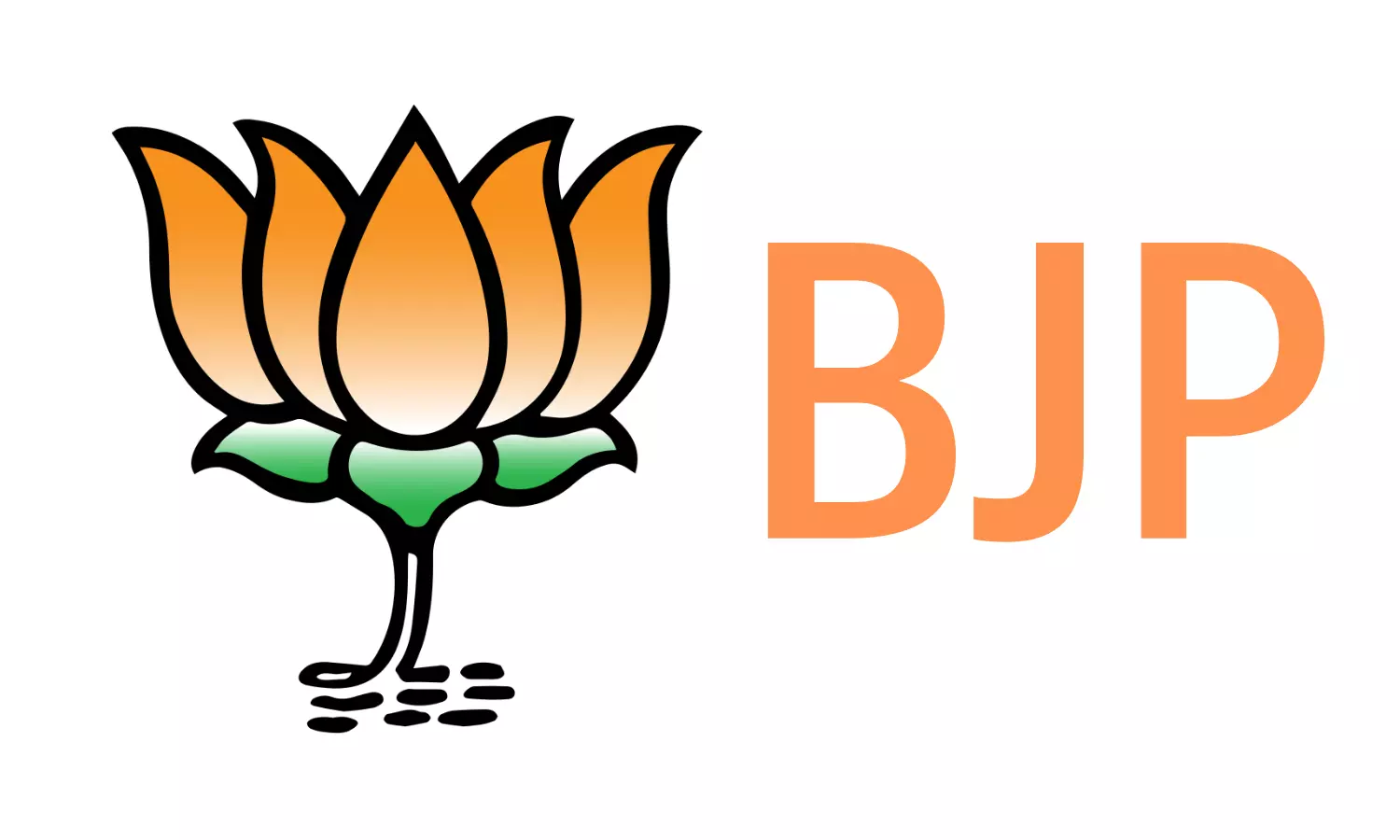 Naming Mayor candidate, a difficult task for BJP - The Hitavada
